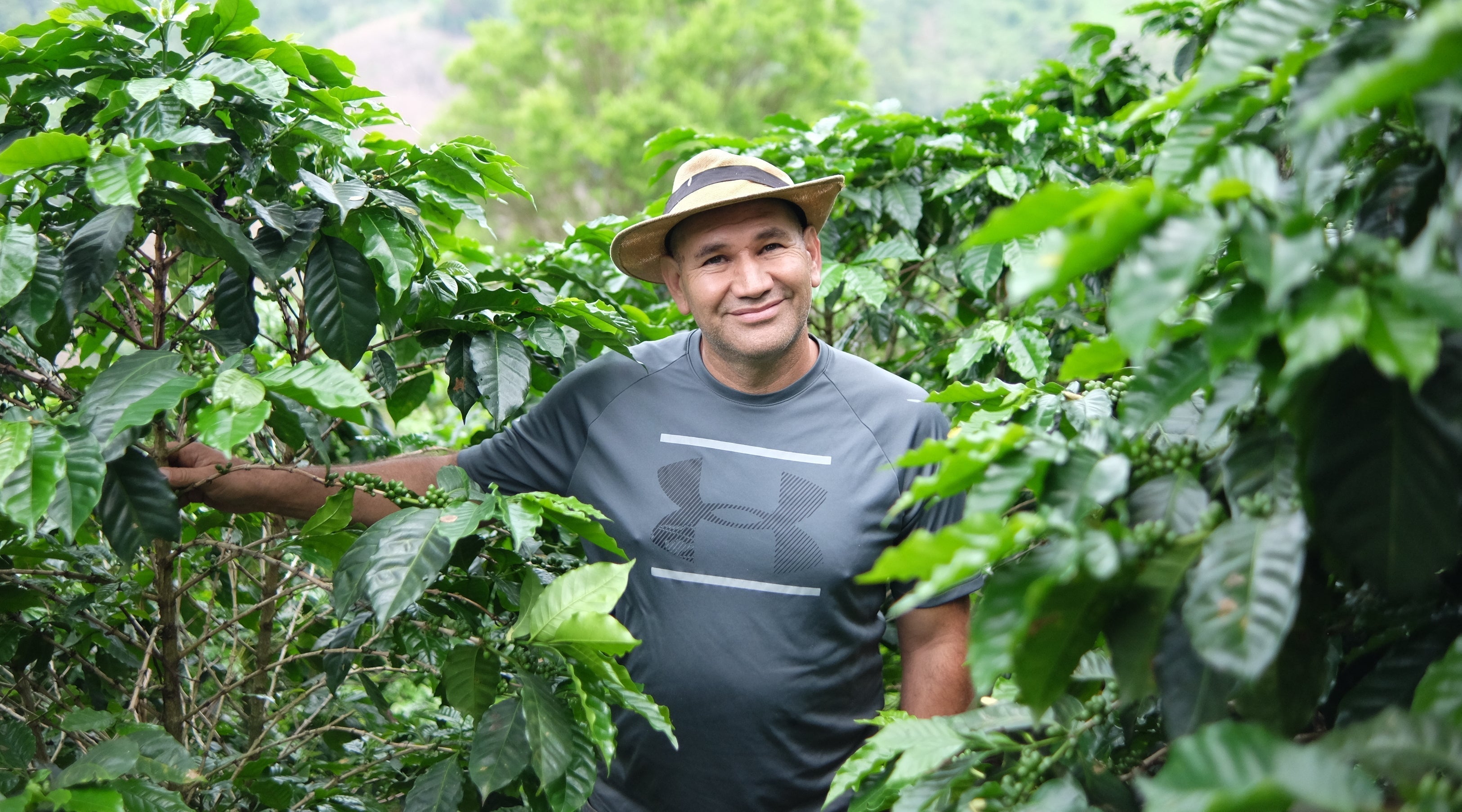 とろみと上質な甘さの一体感が素晴らしいエルサルバドルのコーヒー 「ドン ハイメ」 – LIGHT UP COFFEE