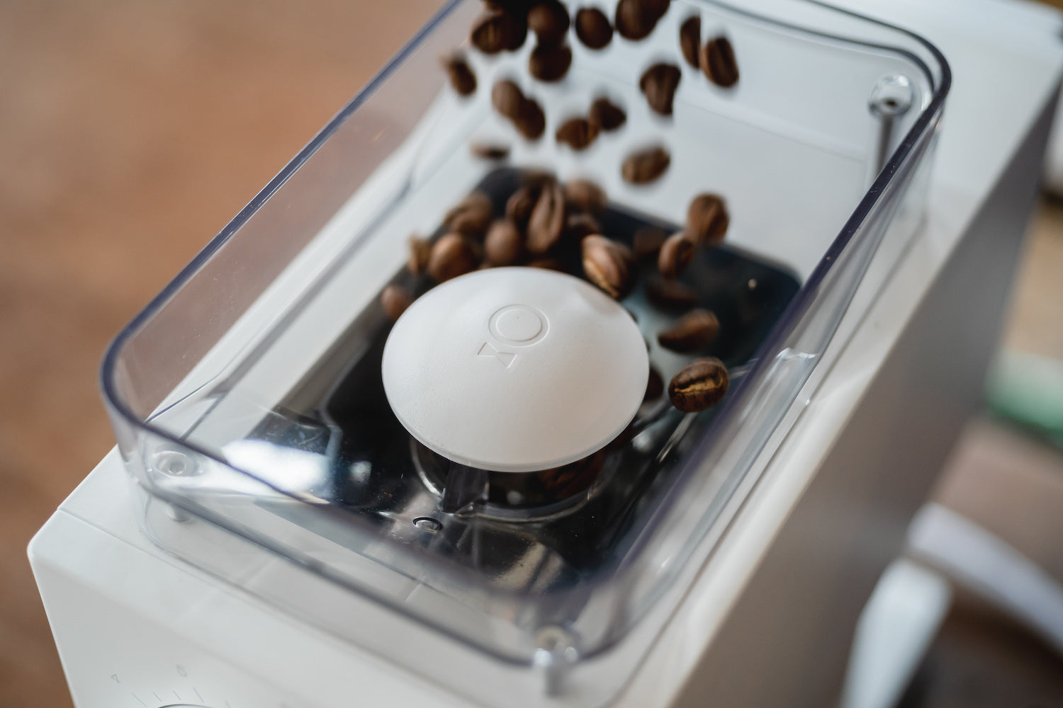 Fellow Ode Brew Grinder Gen2【LIGHT UP COFFEE】